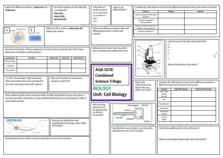 Mitosis vs Meiosis and Cell Biology Essentials | PDF | Cell (Biology ...
