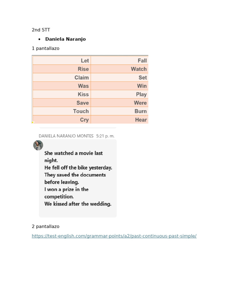 Ejemplo de Toma de Evidencia - 2nd STT | PDF