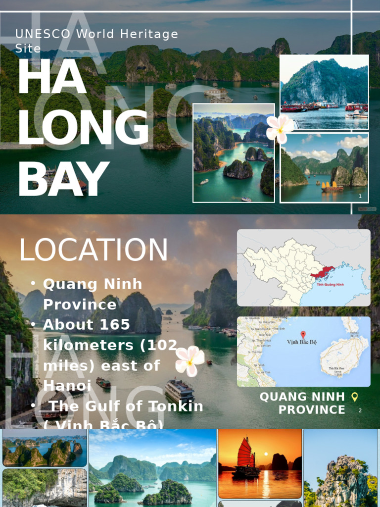 Bản Sao Của Halong | PDF