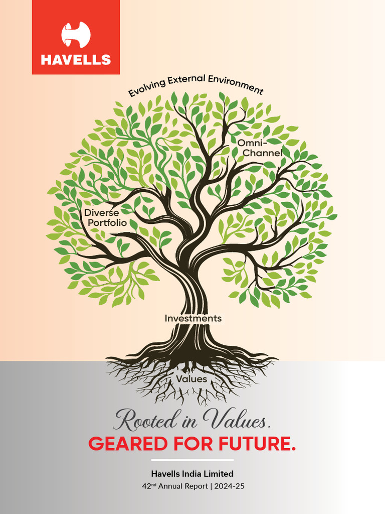 Integrated Report | PDF | Brand | Audit