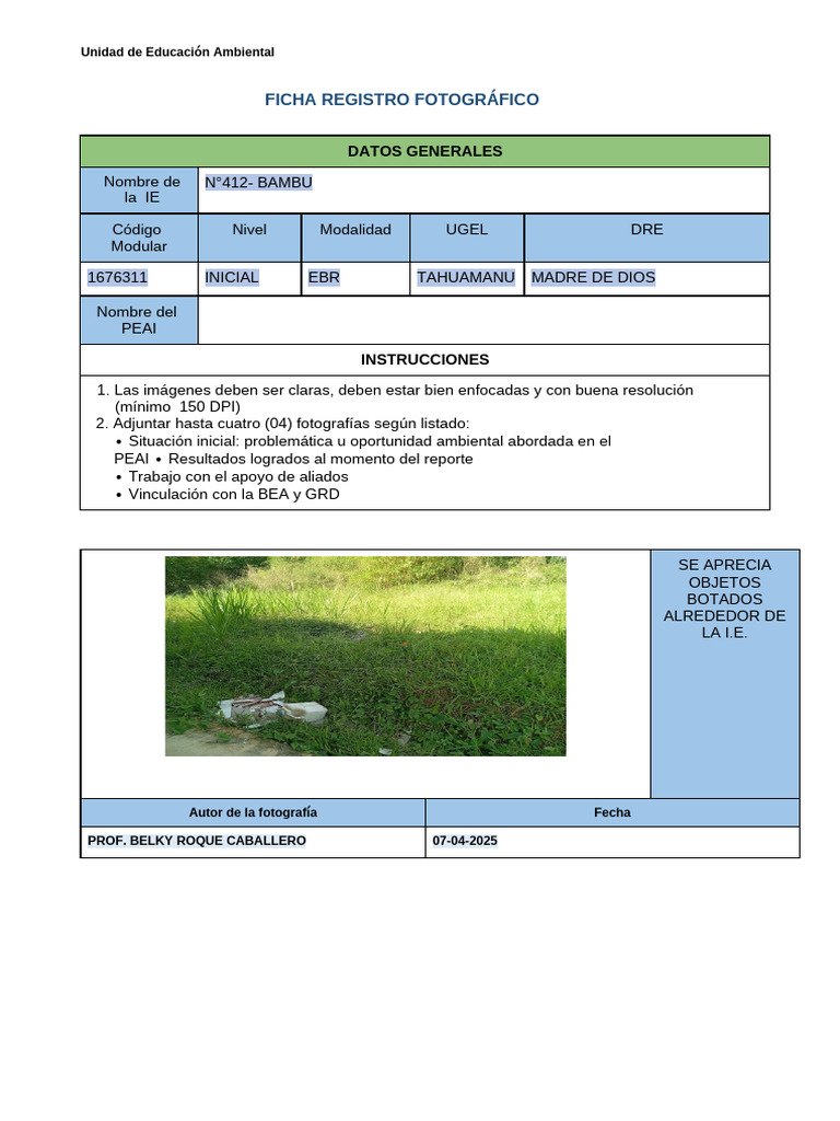 Ficha de Registro Fotografico Peai | PDF