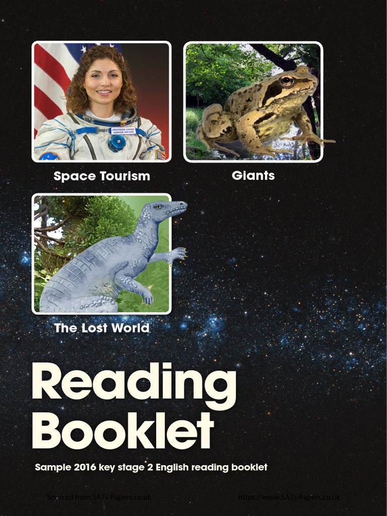 2016 Key Stage 2 Reading Booklet | PDF | Meteoroid | International ...