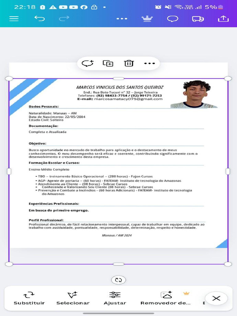 Marcos Vinicius Queiroz CV | PDF