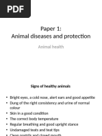 Animal Production Notes 2024 | PDF | Agriculture | Intensive Farming
