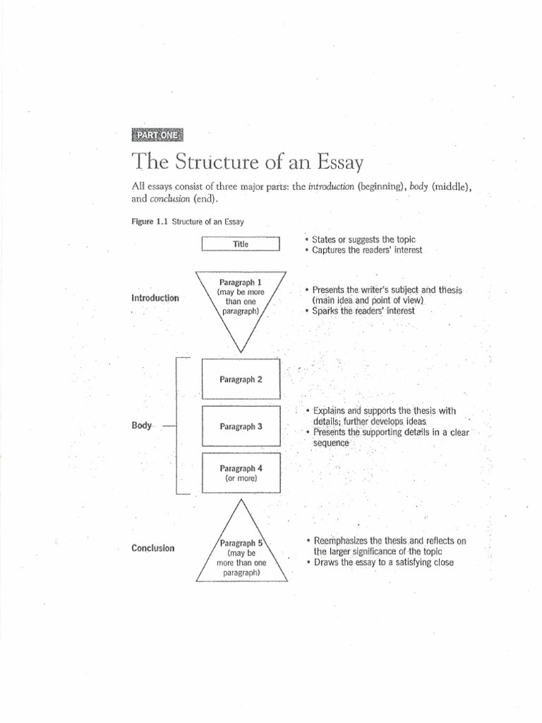 The Structure of An Essay | PDF