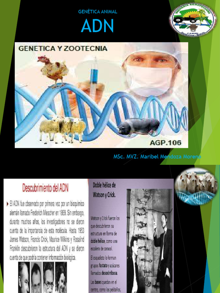 Tema 2.2. Genetica Animal | PDF | Genética | Gene