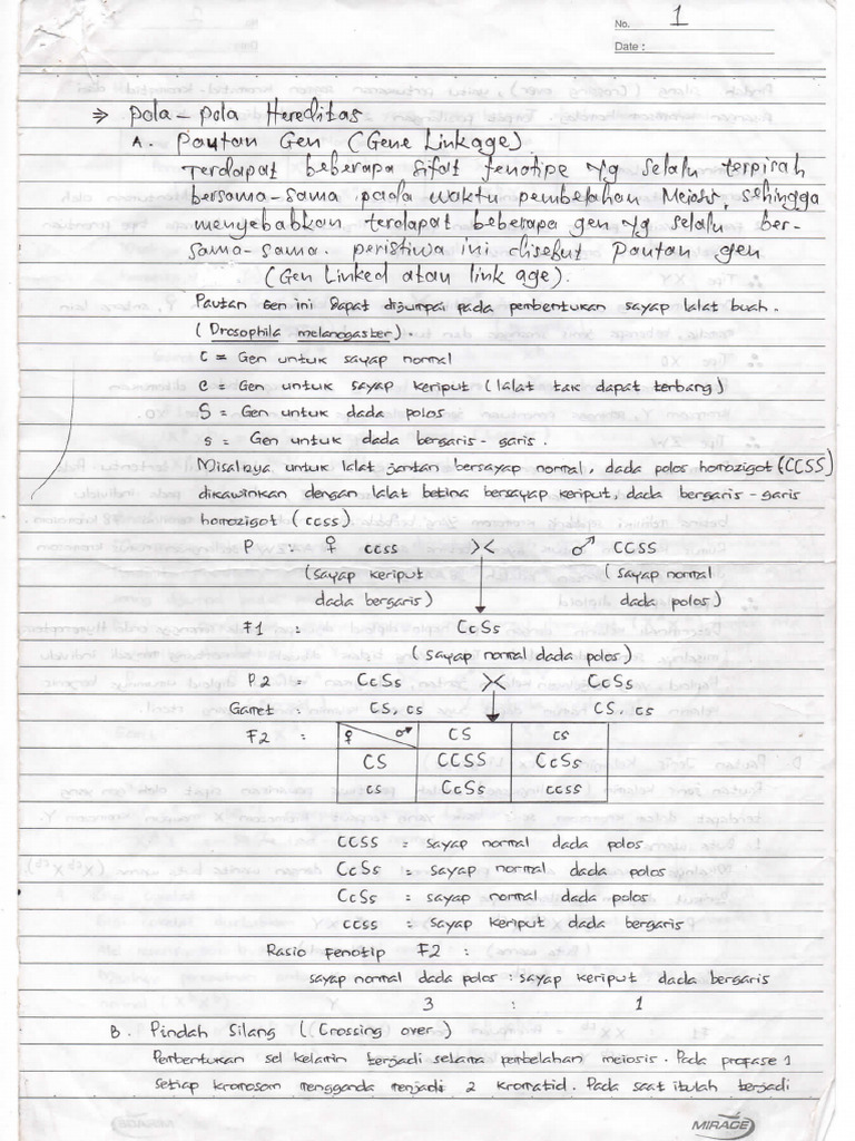 Pola-Pola Hereditas | PDF
