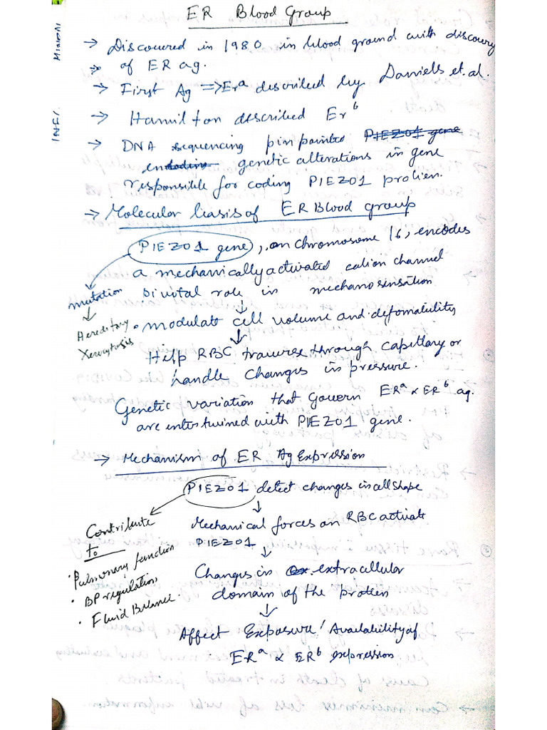 ER Blood Group | PDF