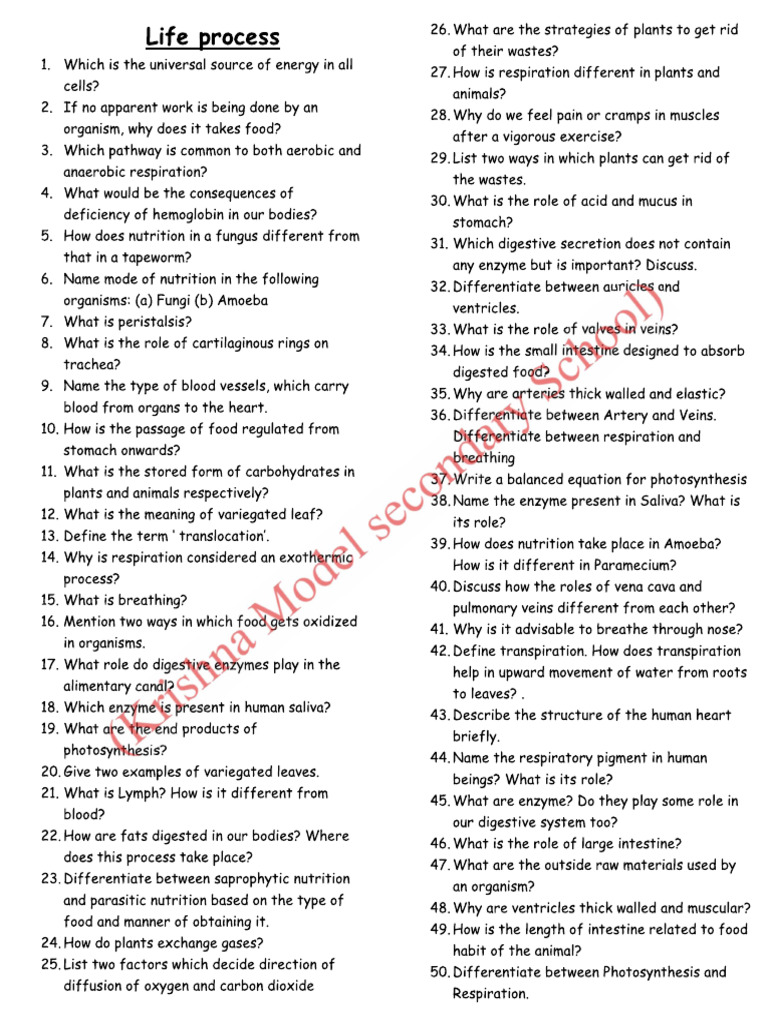 Life Process Kmss | PDF