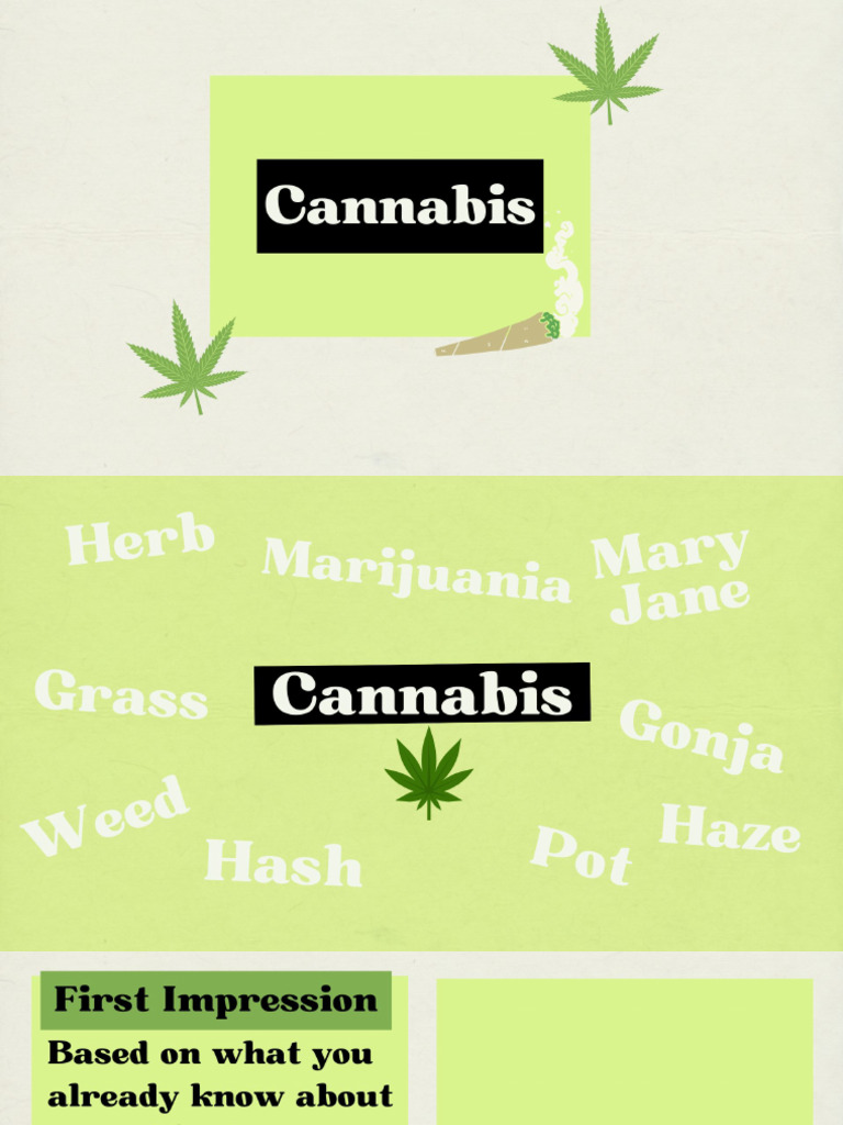 Marijuana - Student Version To Take Notes | PDF