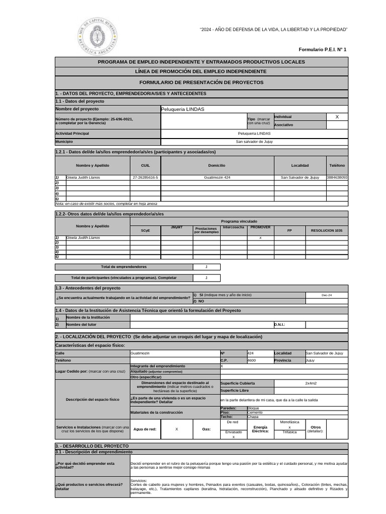 Proyecto Terminado | PDF | Iniciativa empresarial