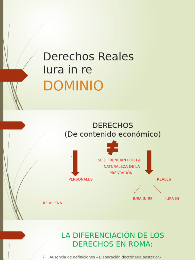 Derechos Reales Dominio | PDF | Propiedad | Ley de Propiedad