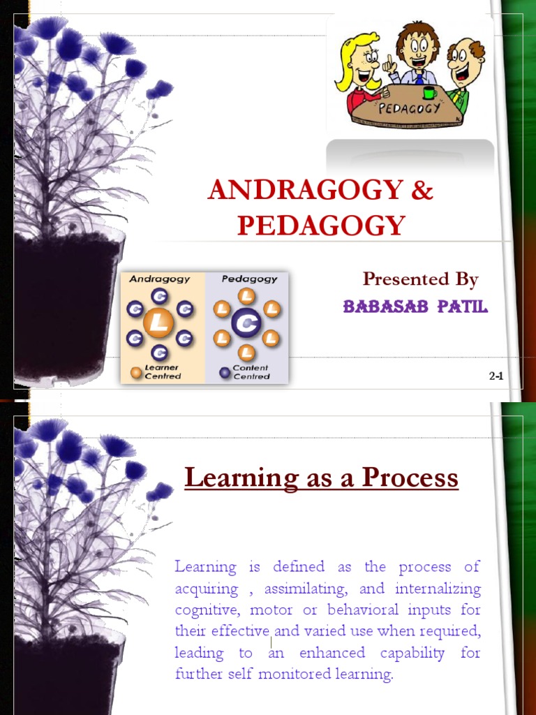 Andragogy vs Pedagogy Explained | PDF | Constructivism (Philosophy Of Education) | Classical ...