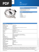 Baumer Pressure Gauges | PDF | Pressure Measurement | Physical Quantities