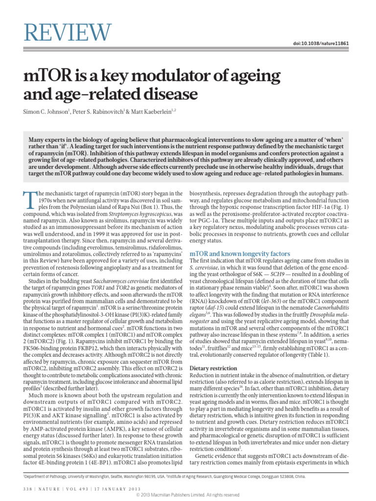 2013nat - mTOR Is A Key Modulator of Ageing | PDF | Autophagy | Mitochondrion