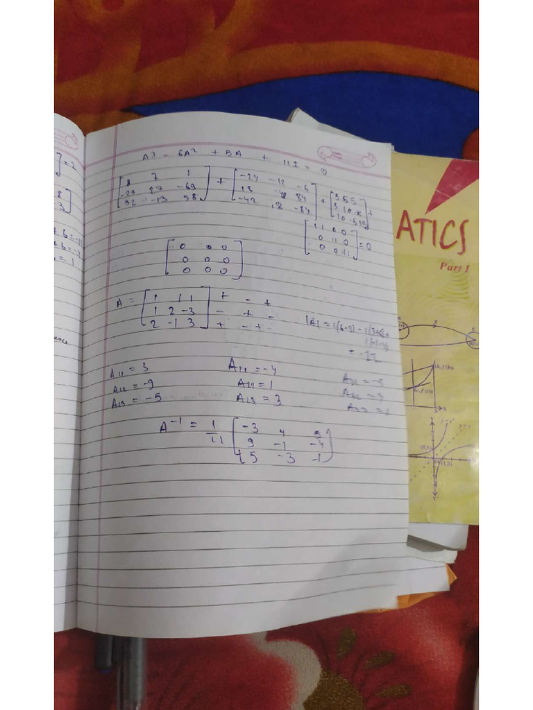 Imp Notes Class 12 | PDF