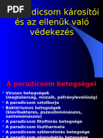 MATE Tanevi Idobeosztas 202425 Tanev ELFOGADOTT KORR 20240822 | PDF