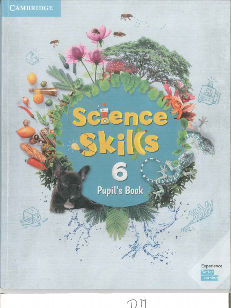 Science Skills 6 PB | PDF