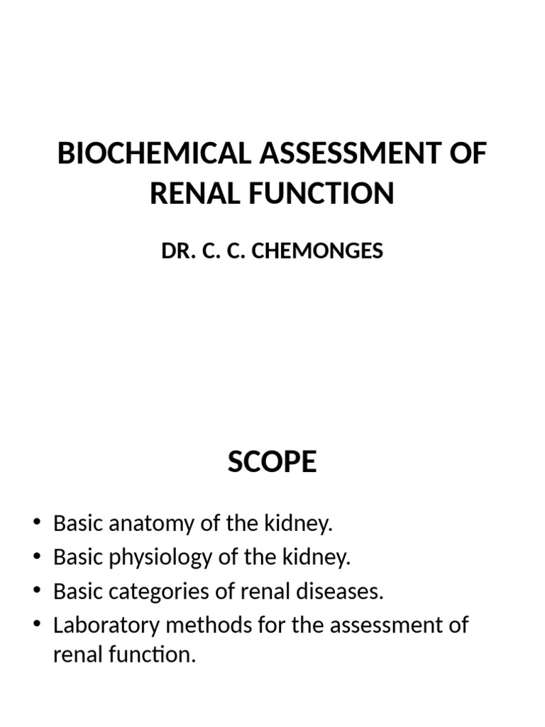 Assessment of Renal Function Final 1 | PDF | Kidney | Diseases And ...