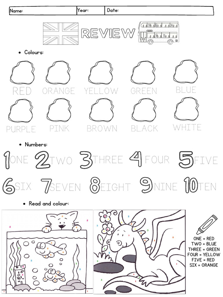 Colur and Numbers | PDF