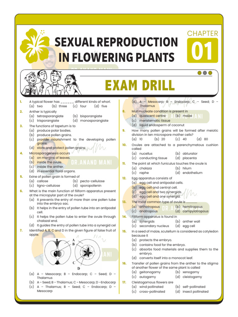 Sexual Reproduction in Flowering Plants - Mock Test | PDF | Flowers ...