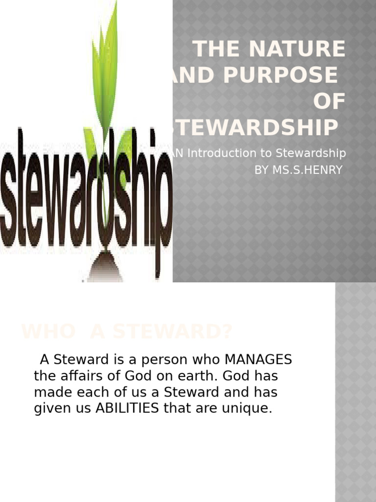 Understanding Stewardship Essentials | PDF