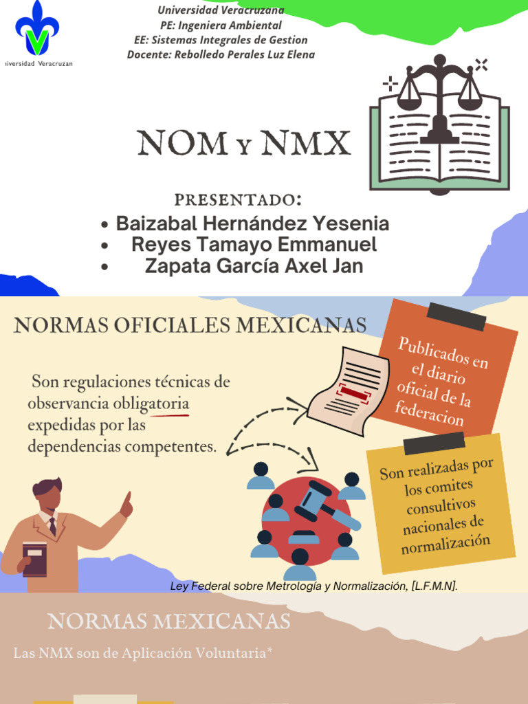 Presentacion de Las NOM Y LAS NMX | PDF