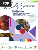 Life Sciences Study Guide Grade 12 | PDF | Menstrual Cycle | Fertilisation