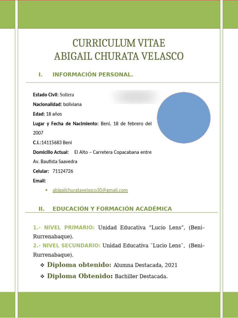CURRICULUM DE ABIGAIL 2025 | PDF