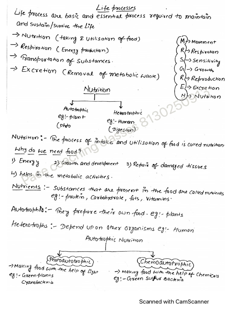 Class 10 CH Life Processes Short Notes. | PDF