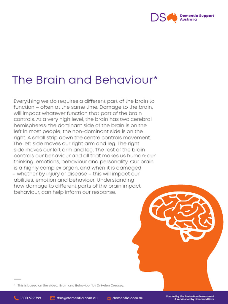 Brain and Behaviour Factsheet | PDF | Parietal Lobe | Memory