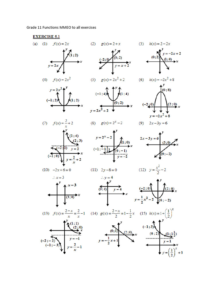 Grade 11 Functions MEMO To All Exercises | PDF