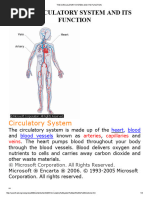 Overview of the Circulatory System | PDF | Blood Vessel | Heart