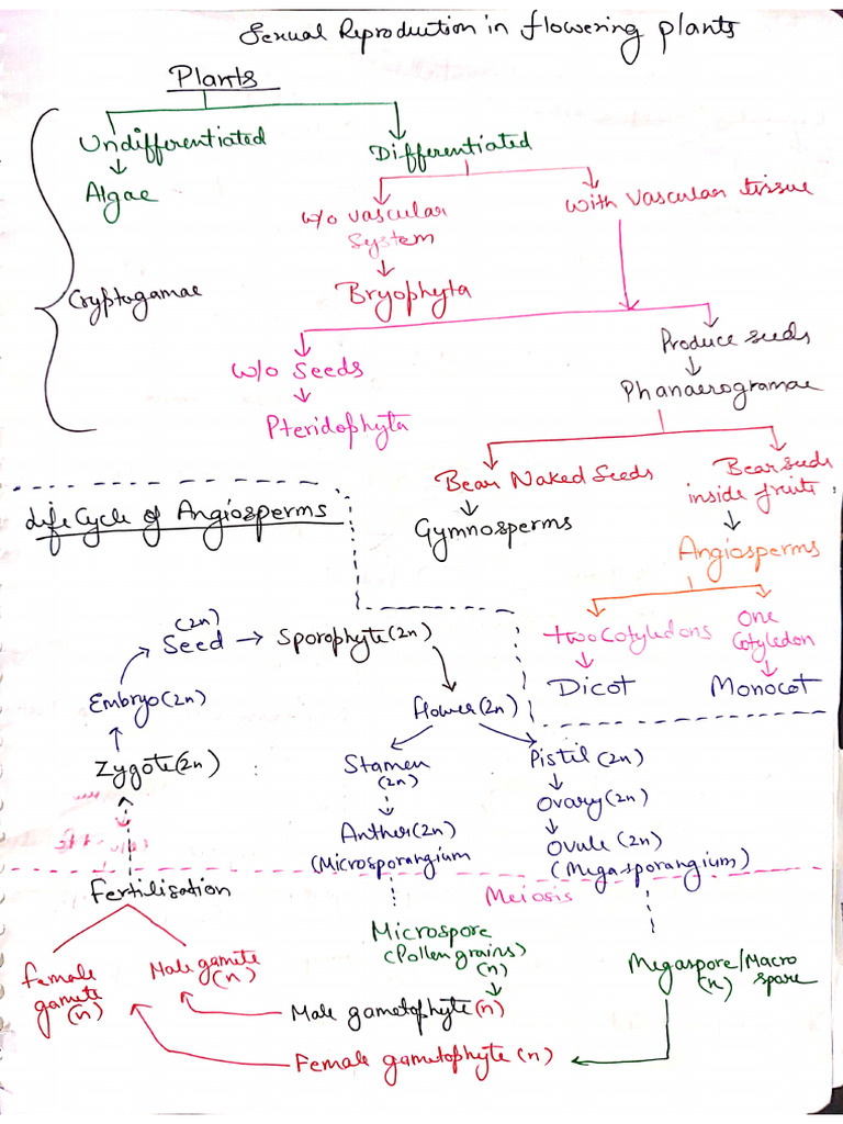 Biology | PDF