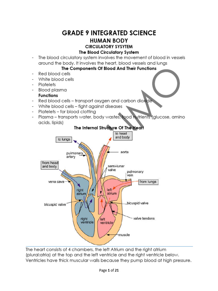 Grade 9 Integrated Science Notes | PDF | Atrium (Heart) | Voltage