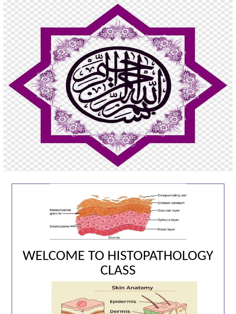 Junctional Compound Dermal & Blue Nevus - HP | PDF