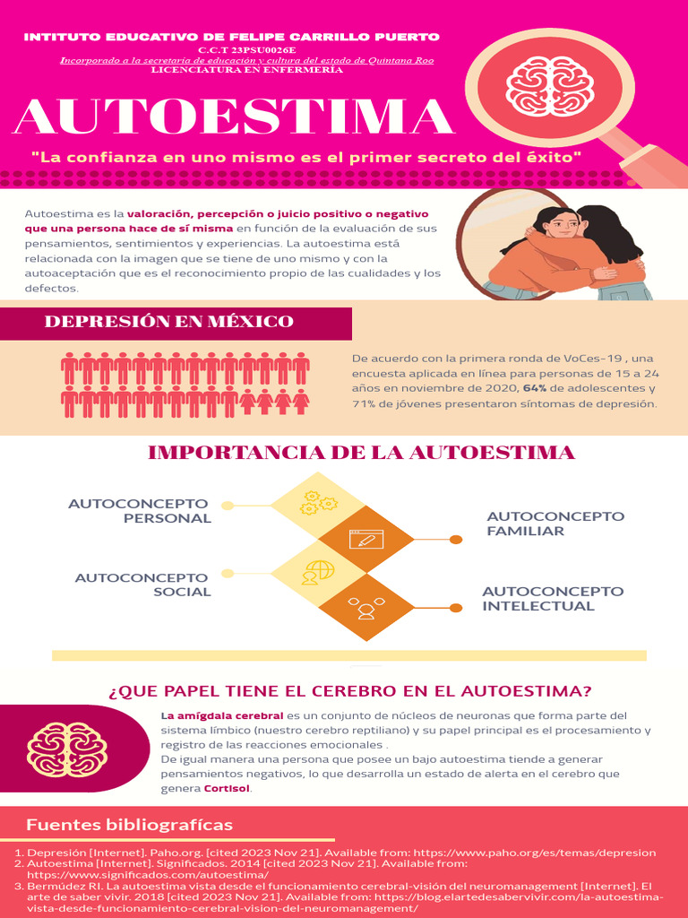 Importancia de la Autoestima y el Cerebro | PDF | Autoestima | Cerebro