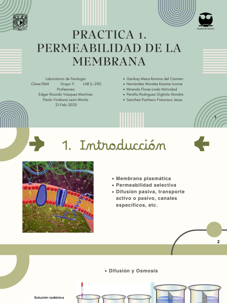 Permeabilidad de La Membrana | PDF | Ósmosis | Biología Celular