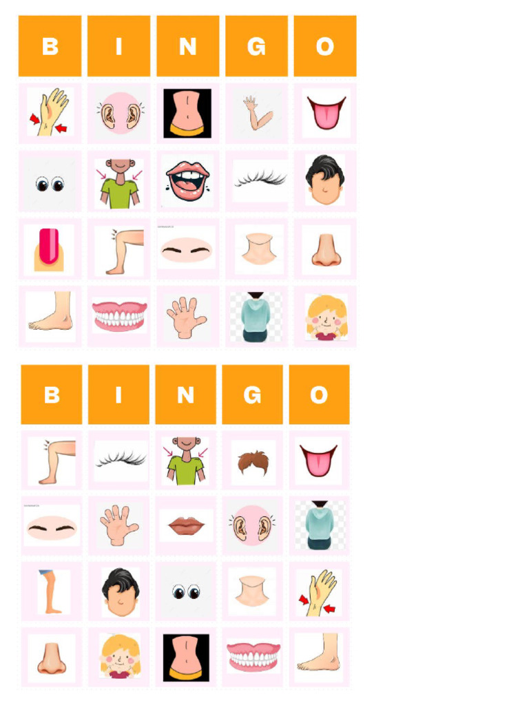 Bingo Body Parts | PDF
