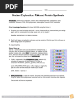 RNAProteinSynthesisSE Key | PDF | Translation (Biology) | Rna