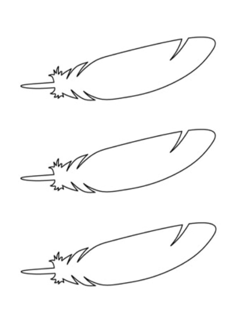 Plumas | PDF