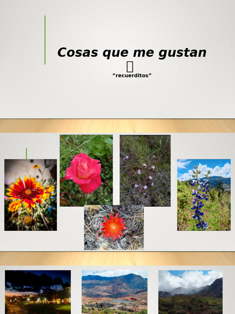 Cosas Que Me Gustan | PDF