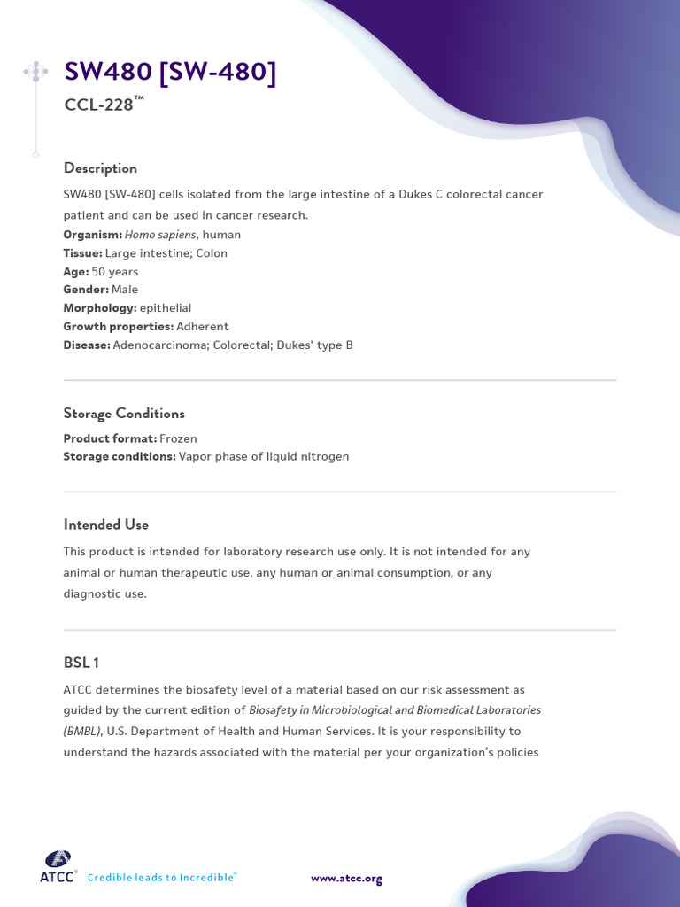 SW480 Cell Line Overview and Handling | PDF | Atcc (Company) | Large ...