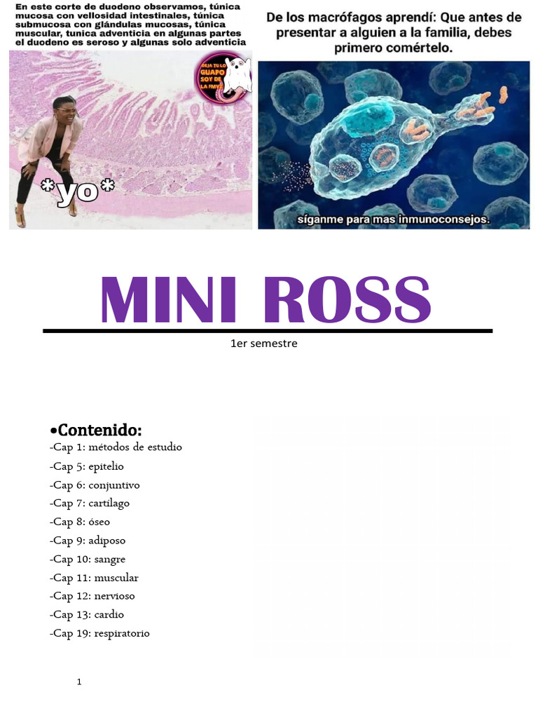 Mini Ross 1ra Parte - Resumen Del Ross Histo | PDF | Adhesión celular ...