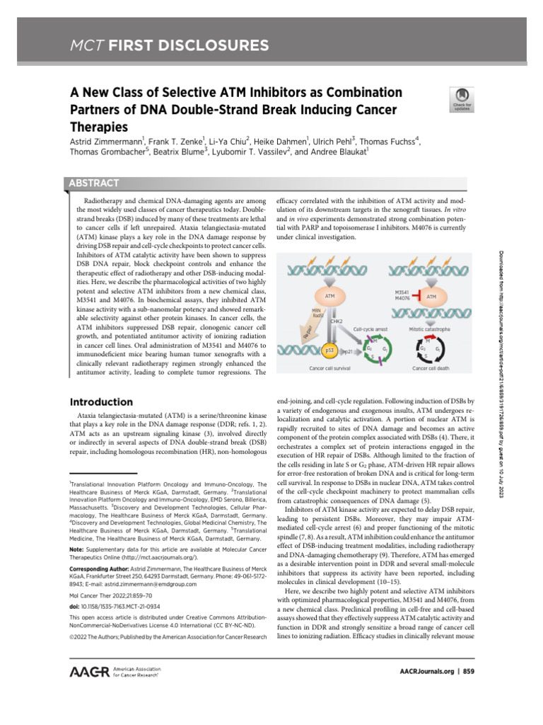 Selective ATM Inhibitors Enhance Cancer Therapy | PDF | Dna Repair ...