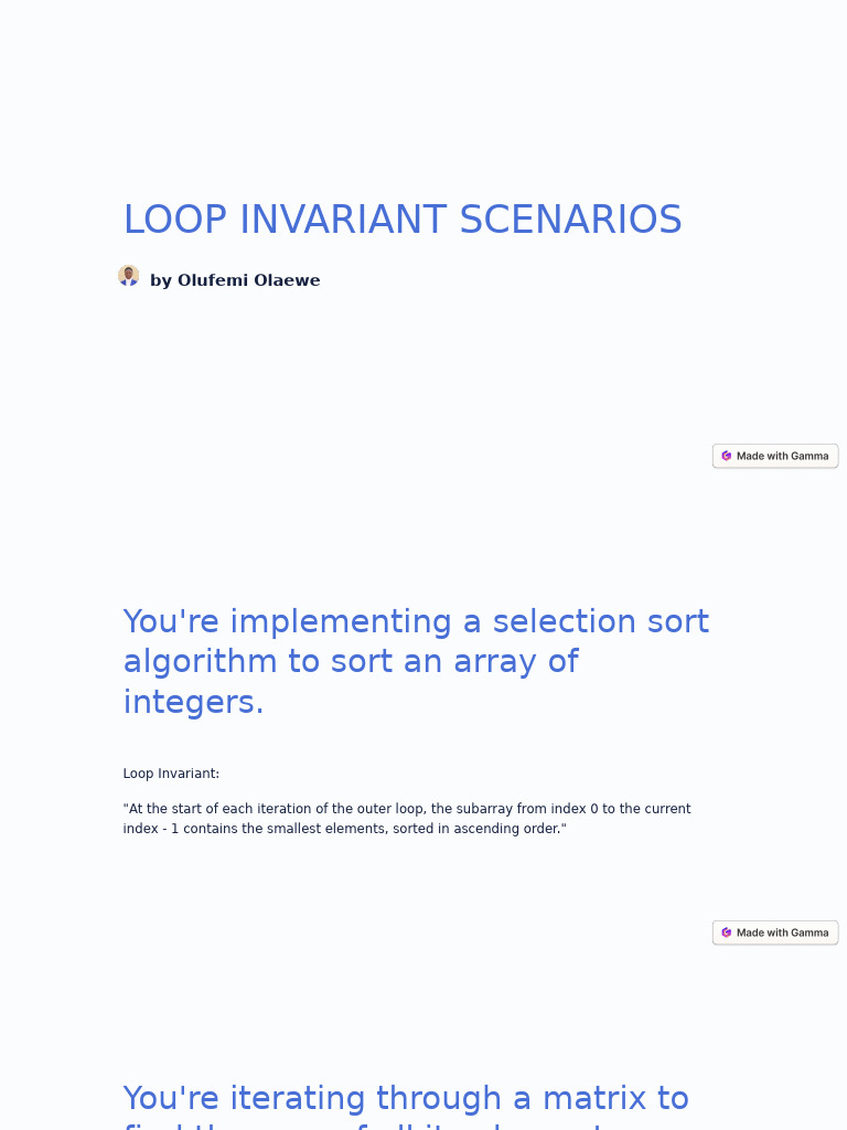 LOOP-INVARIANT-SCENARIOS | PDF
