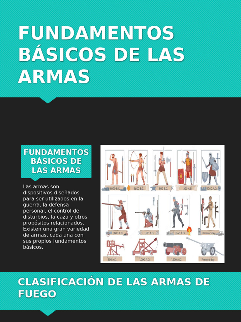 Clasificación y Seguridad de Armas | PDF | Armas de fuego | Rifle