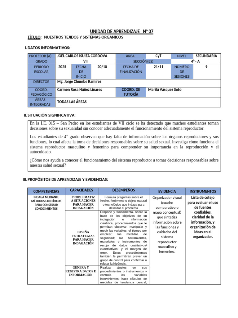 FORMATO UNIDAD DE APRENDIZAJE 2025 - JOEL CARLOS.. | PDF | Aprendizaje | Investigación cuantitativa
