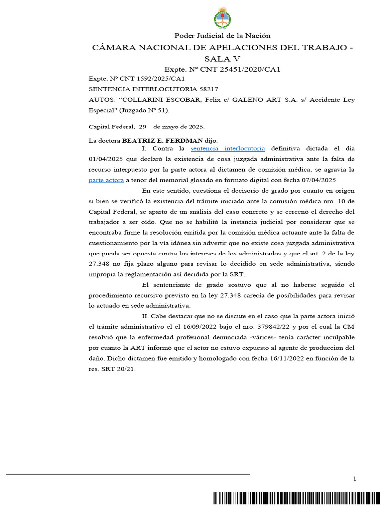 fallo-17 | PDF | Apelación | Juez