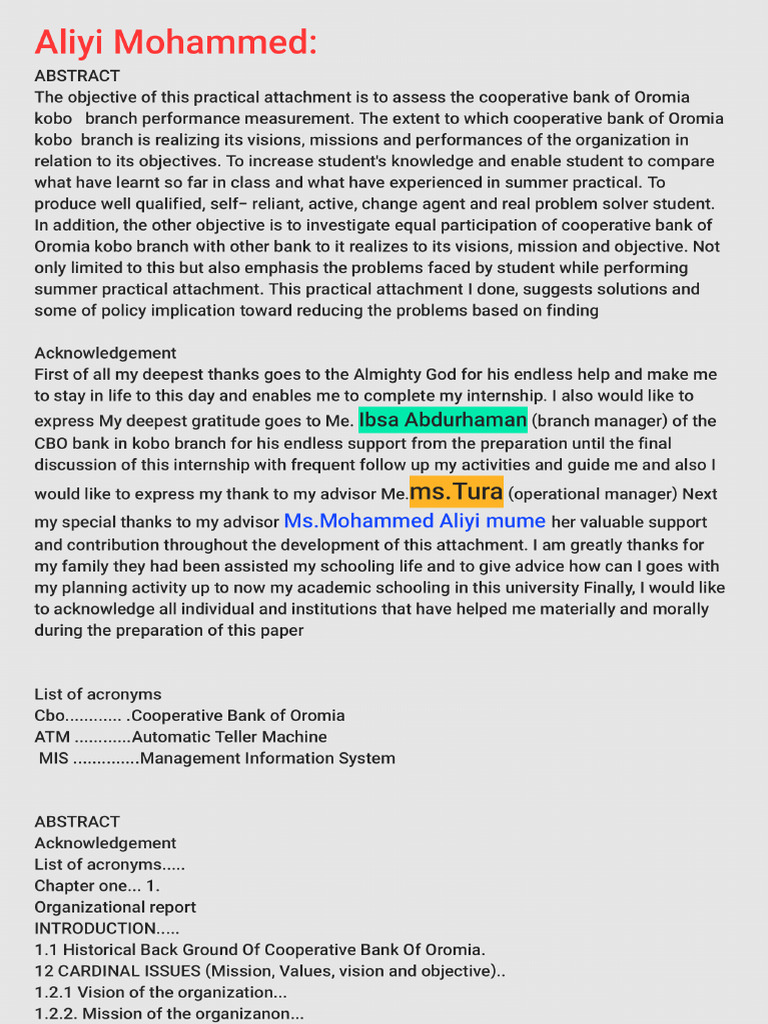 Practical Attachment Report | PDF